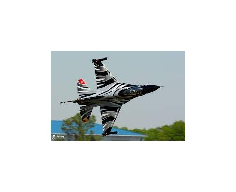 JL F16 1/5 central tank